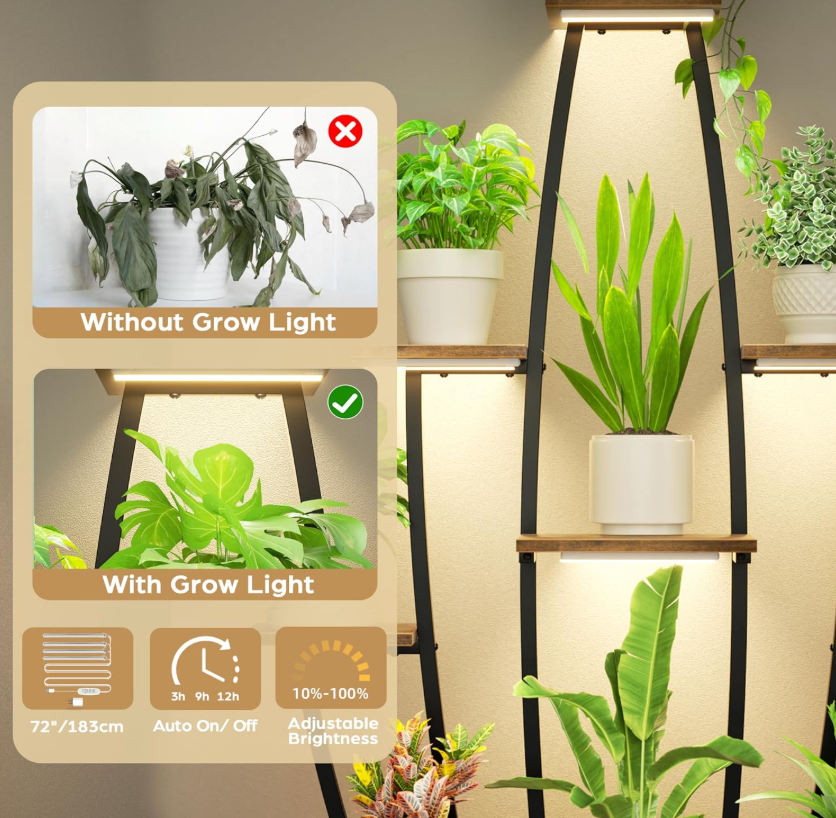 The Virella Rise – Leafy Ladder