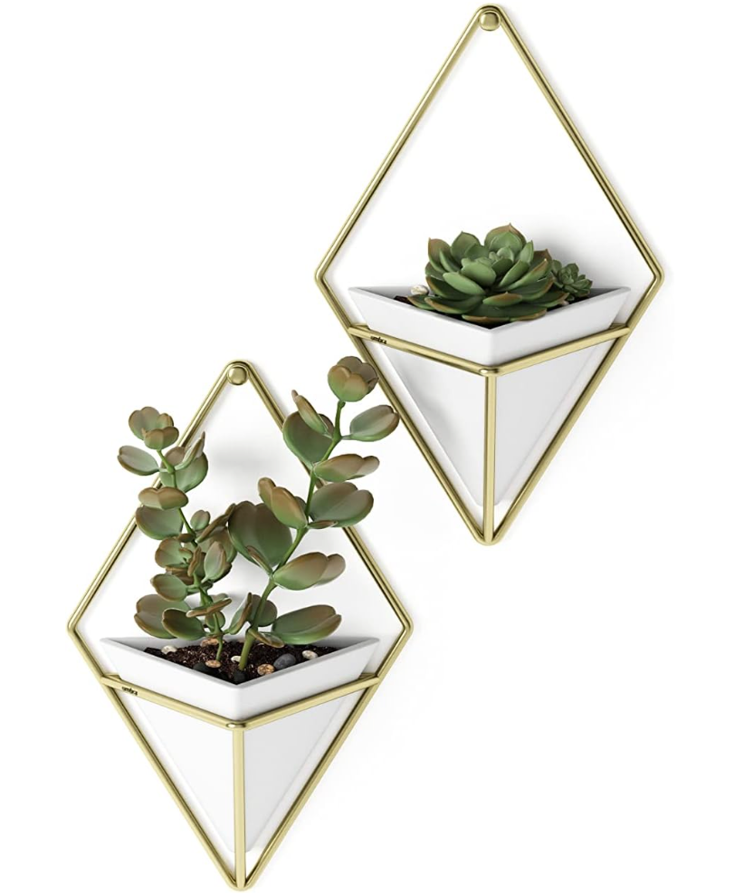 The Prism Vessel Wall Planters — Set of Two – Leafy Ladder